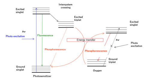 Detection of phosphorescence from singlet oxygen using NIR spectrofluorometer | JASCO Global
