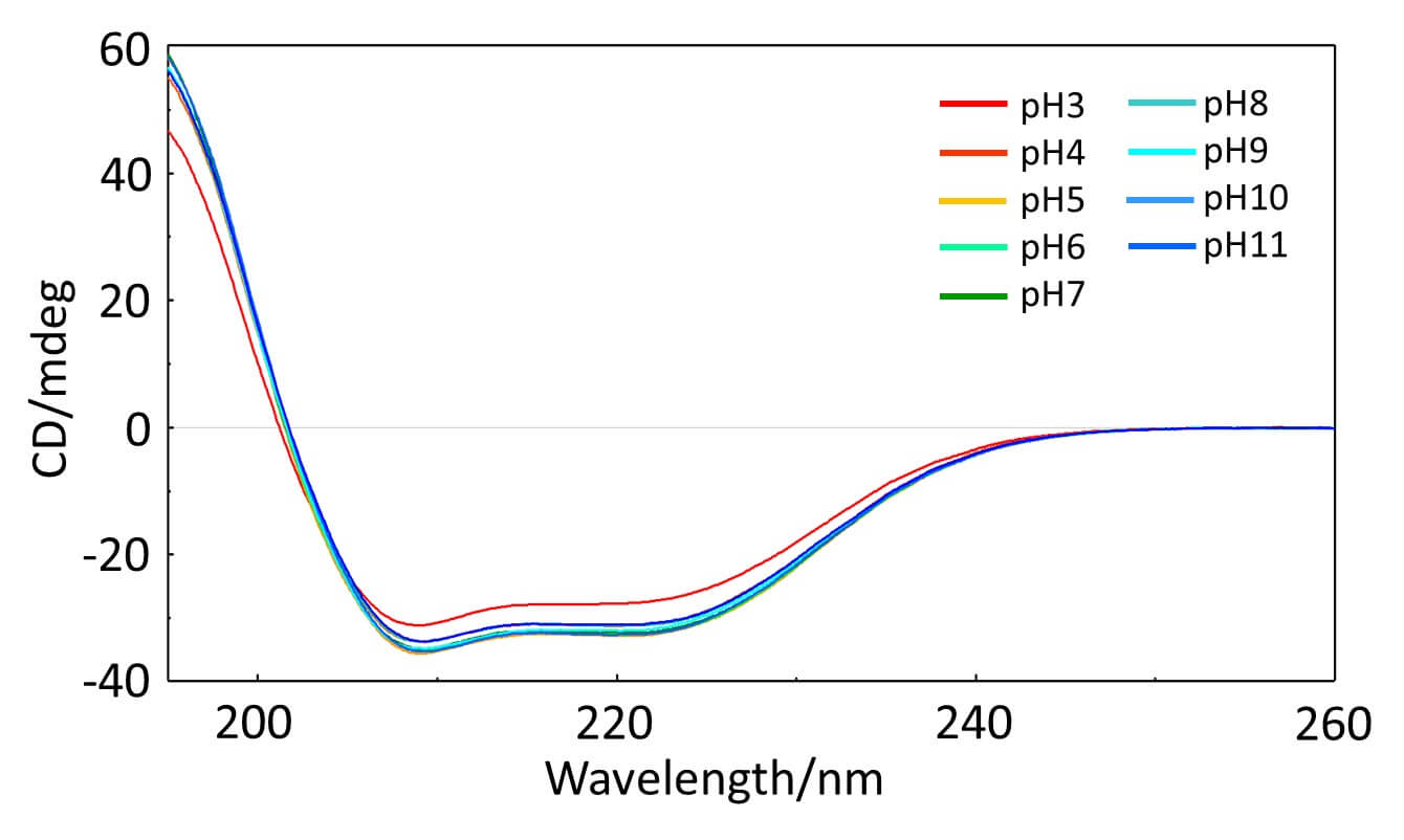 New Approach to Evaluating the Stability of Antibodies Using Circular ...