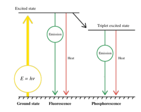 Principles of fluorescence spectroscopy (1) - What is fluorescence? | JASCO Global