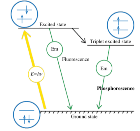 Principles of fluorescence spectroscopy (1) - What is fluorescence ...