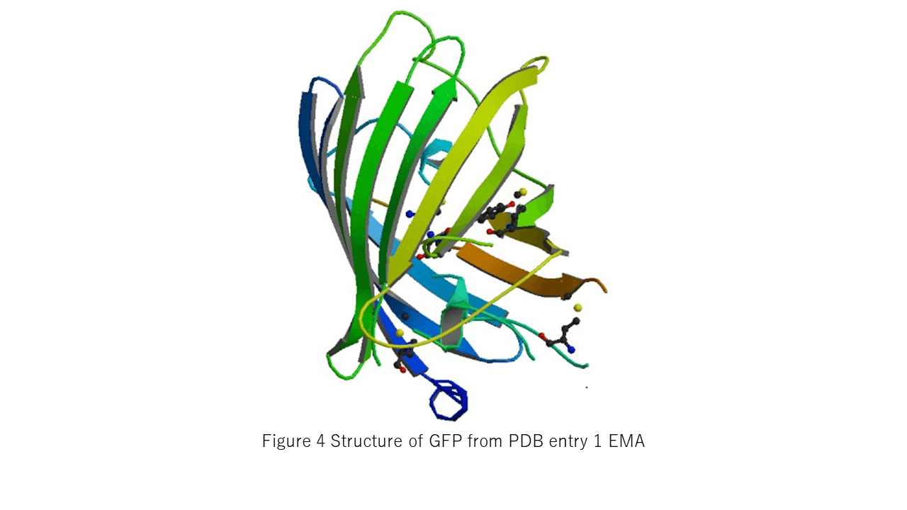 Features and Applications of CPL-300 Circularly Polarized Luminescence Spectrometer | JASCO Global