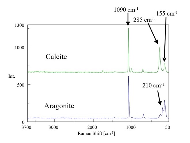 Distribution Estimation of Polymorphism of Coral Skeleton Component by ...