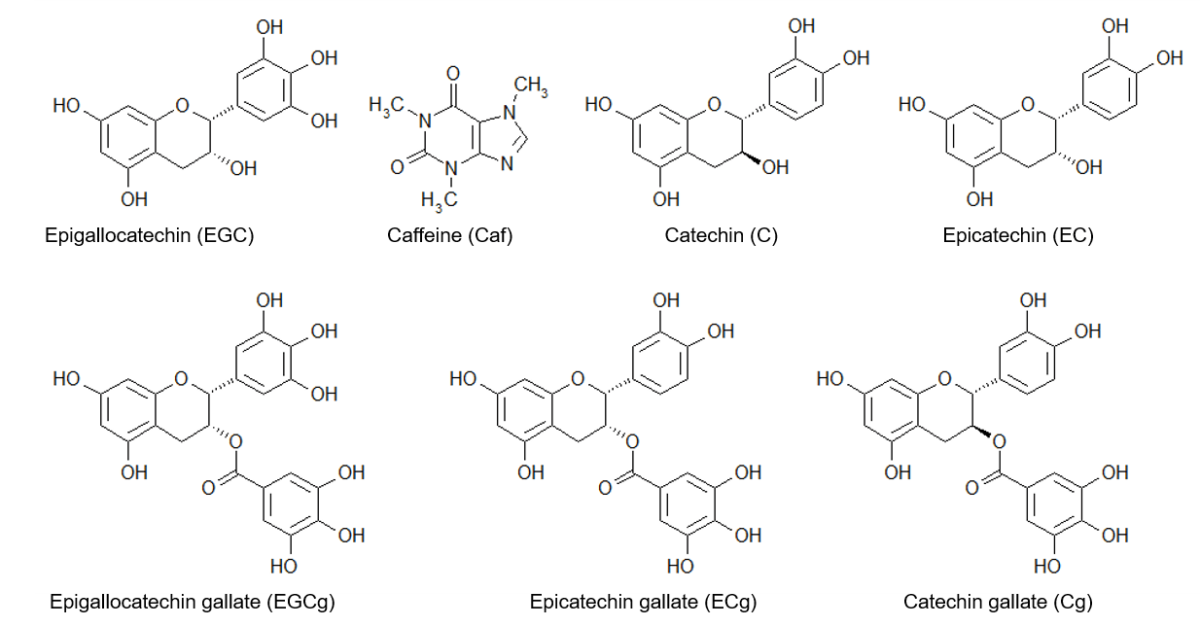 Analysis of Catechins and Caffeine in Green Tea | JASCO Global