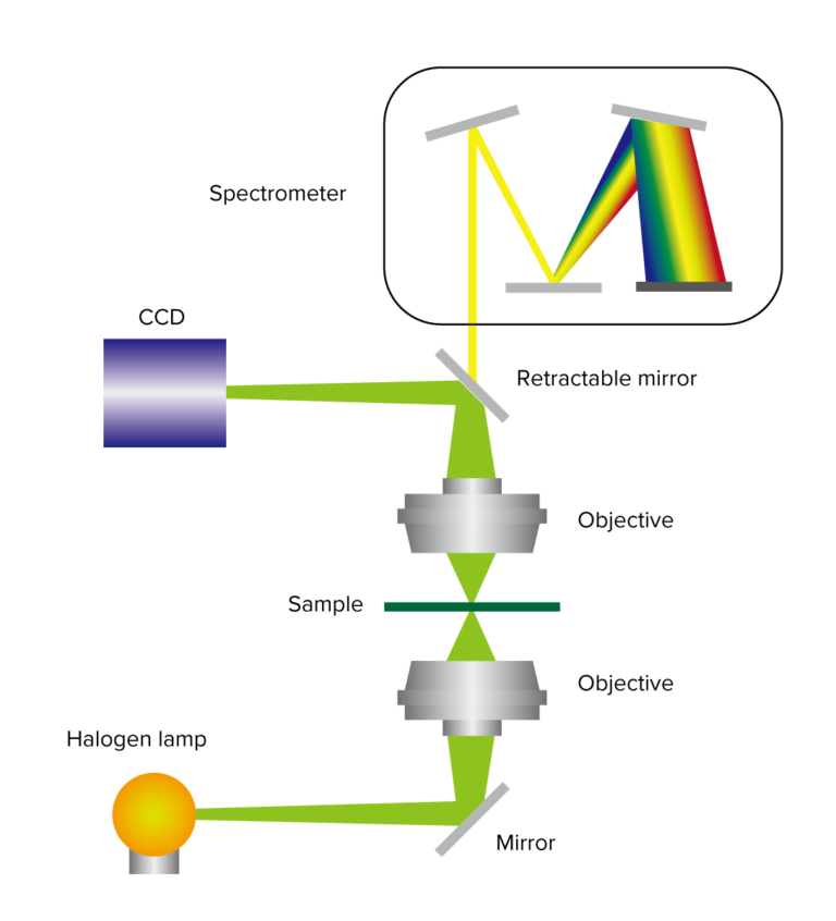Principles of microspectroscopy (1) Microspectroscopy overview | JASCO ...