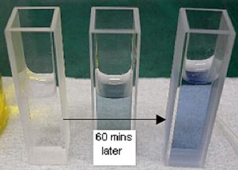 Protein Quantitation using a UV-Visible Spectrophotometer - Lowry ...