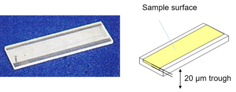 Analysis of Sunscreen SPF/PA Using a Spectroscopic Measurement System ...
