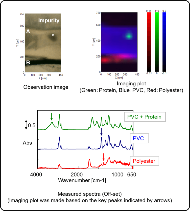 Advanced Imaging Data Analysis by “Model Analysis” | JASCO Global