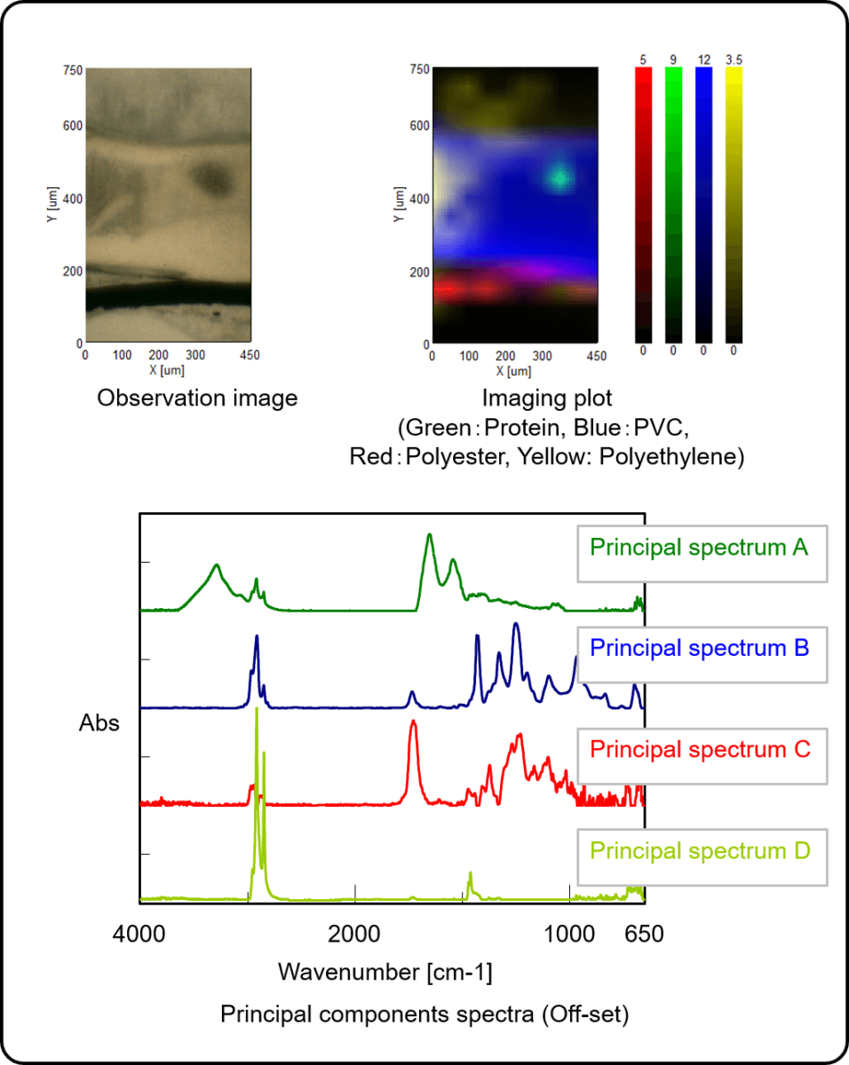 Advanced Imaging Data Analysis by “Model Analysis” | JASCO Global