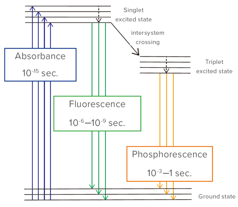 Phosphorescence measurement | JASCO Global