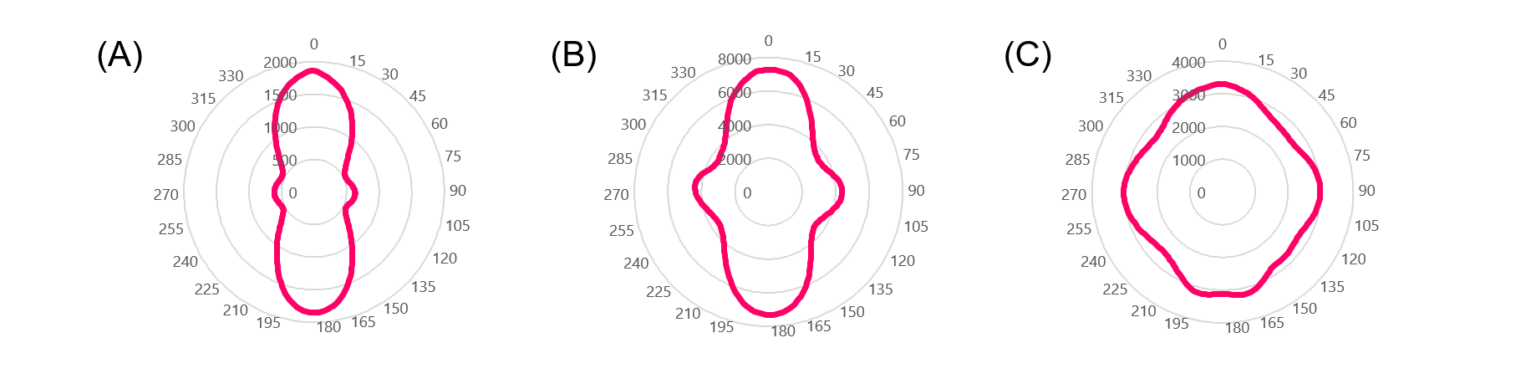 Evaluation of the orientation status of polypropylene by polarized ...