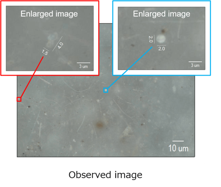 Analysis Of Microplastics By Raman Spectroscopy Jasco Global