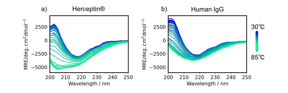 Detailed structural analysis of thermal denaturation of monoclonal ...