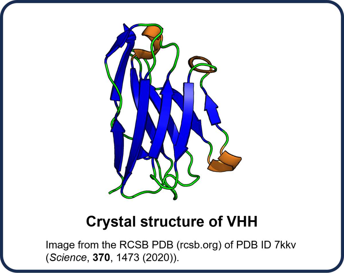 Higher Order Structure, Stability, and Similarity Assessment of VHH ...