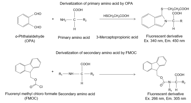 Analysis of Amino Acids by On-line Pre-column Derivatization with OPA and FMOC using RHPLC ...