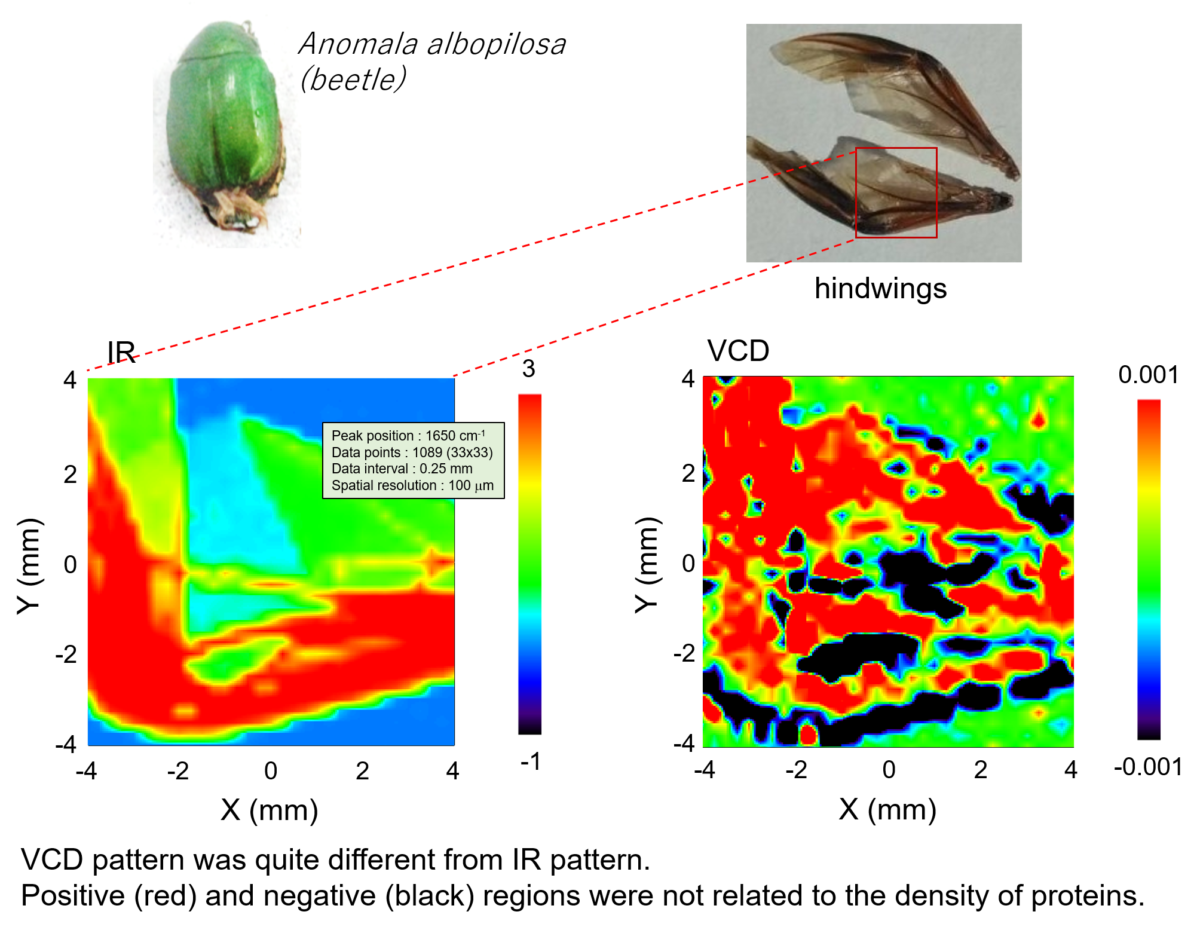 Vibrational Circular Dichroism Spectrometer based on Quantum Cascade ...