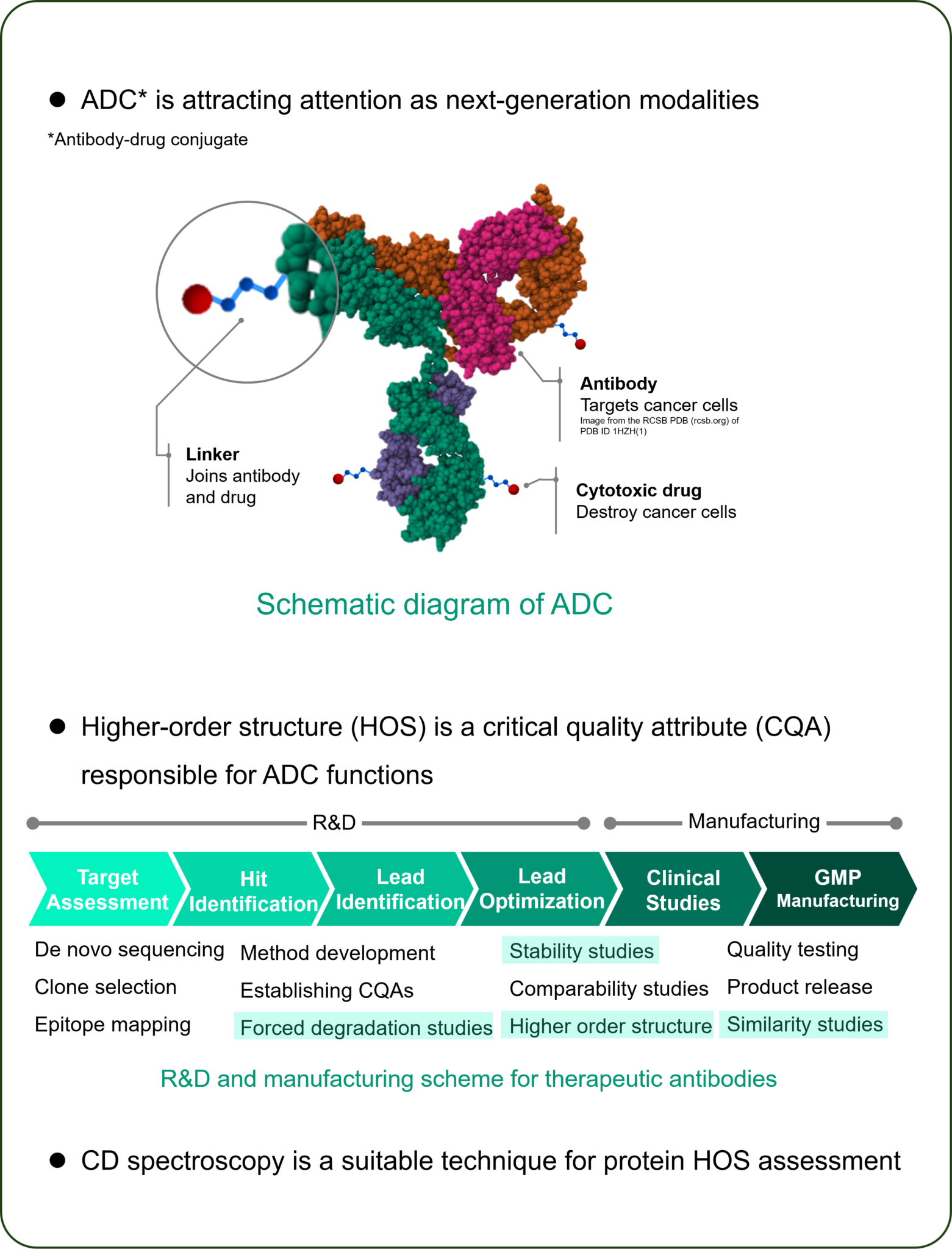 Higher-Order Structure Stability Assessment of Antibody-Drug Conjugate ...